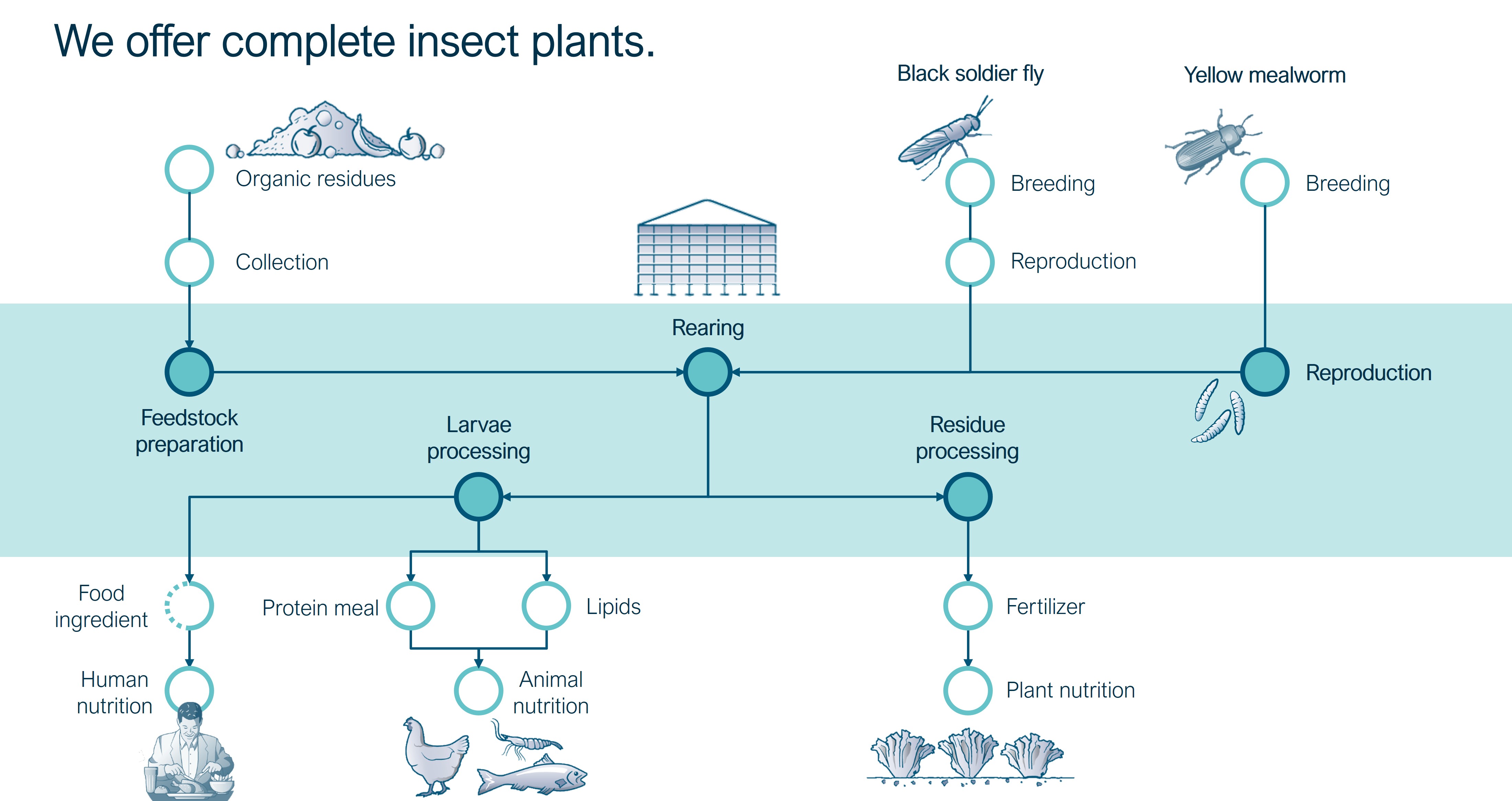Bühler Insect Technology Solutions | Insect Protein | Bühler Group