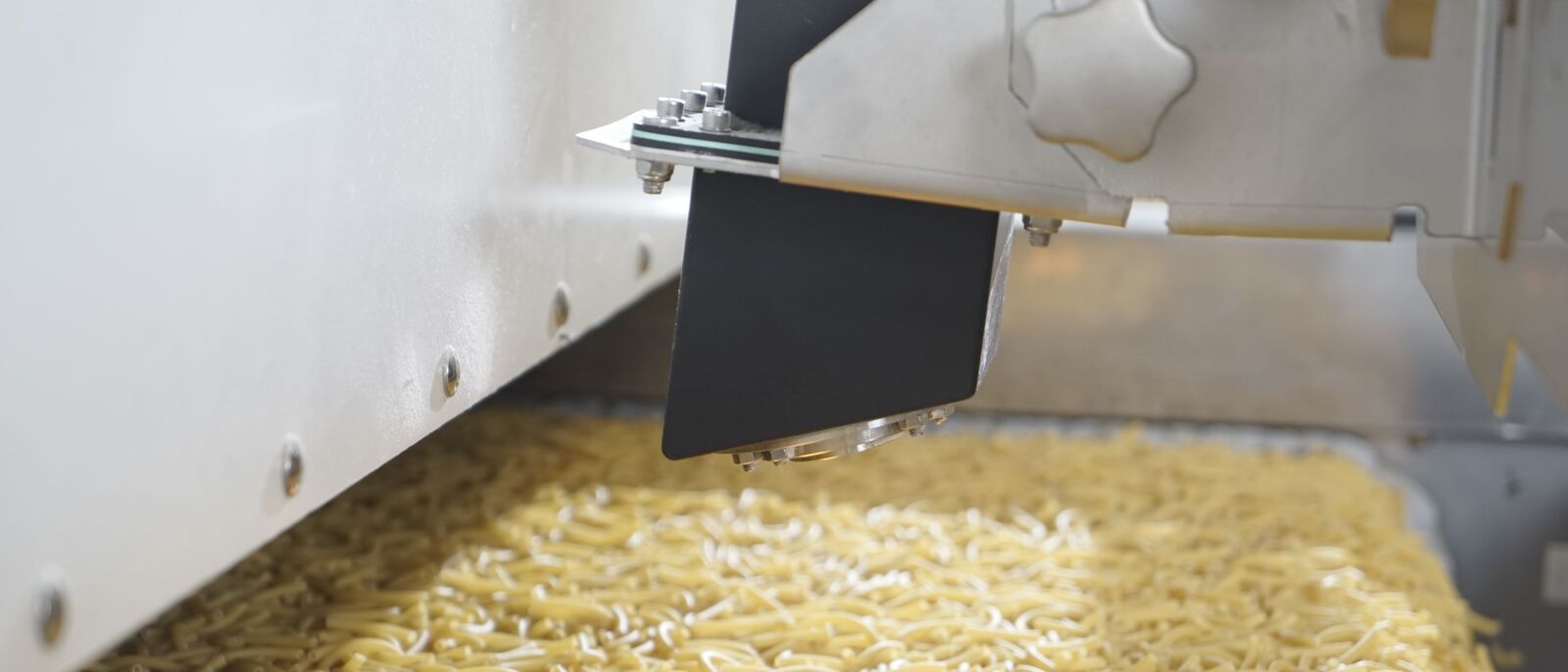 Webinar: PastaSense – automatic and continuous monitoring of pasta quality
