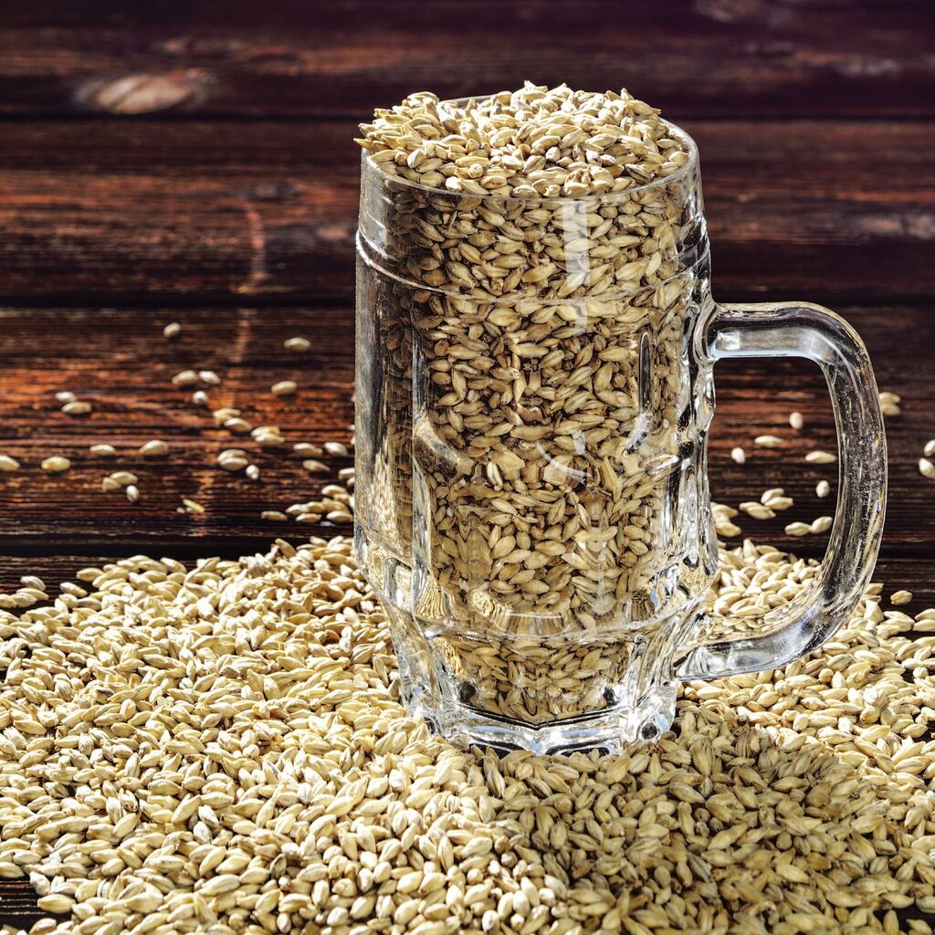 Maltería | Configurar el proceso de producción | Bühler Group