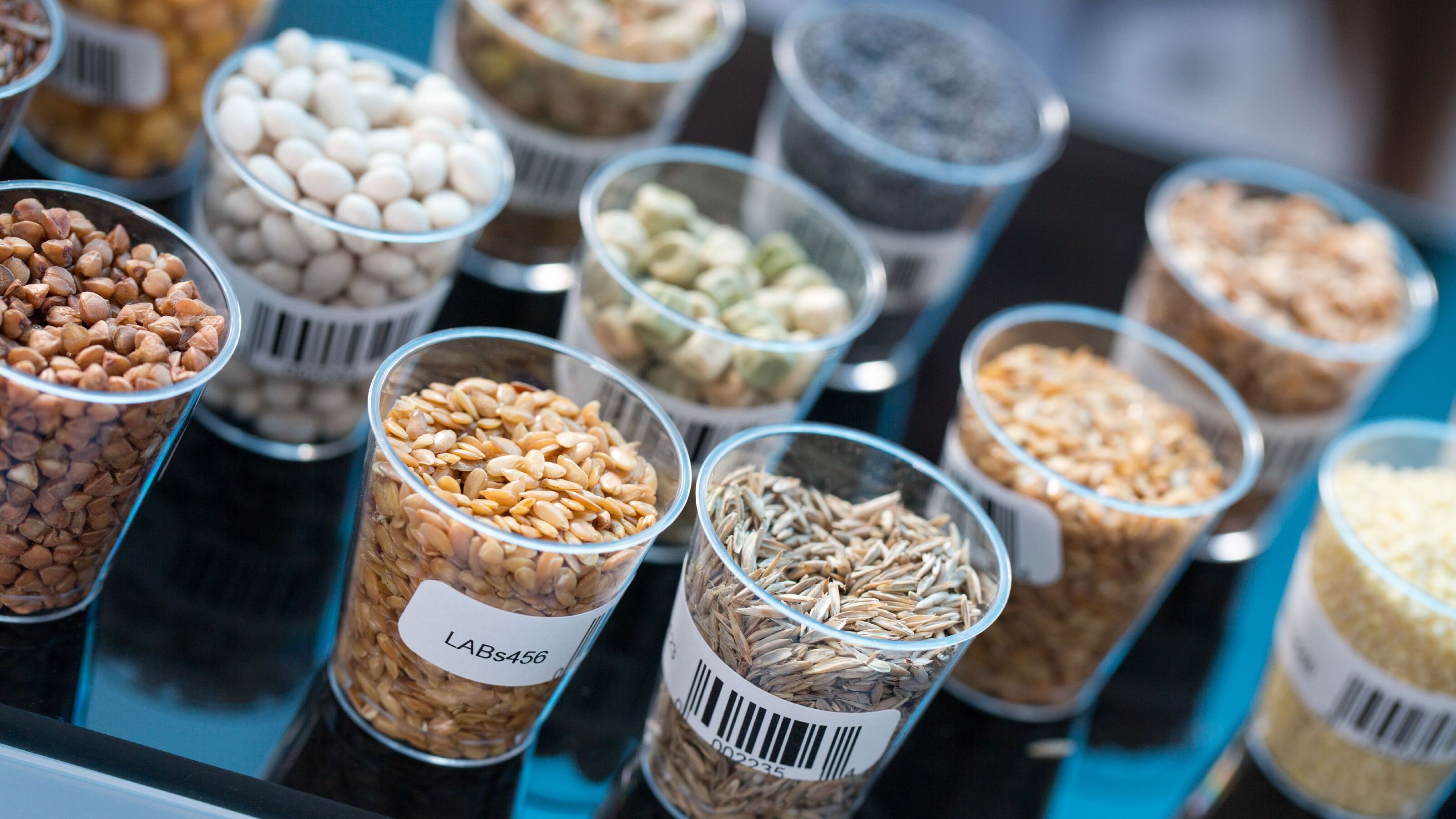 Seleção de Sementes Agrícolas | Campo e Hortaliças | Grupo Bühler