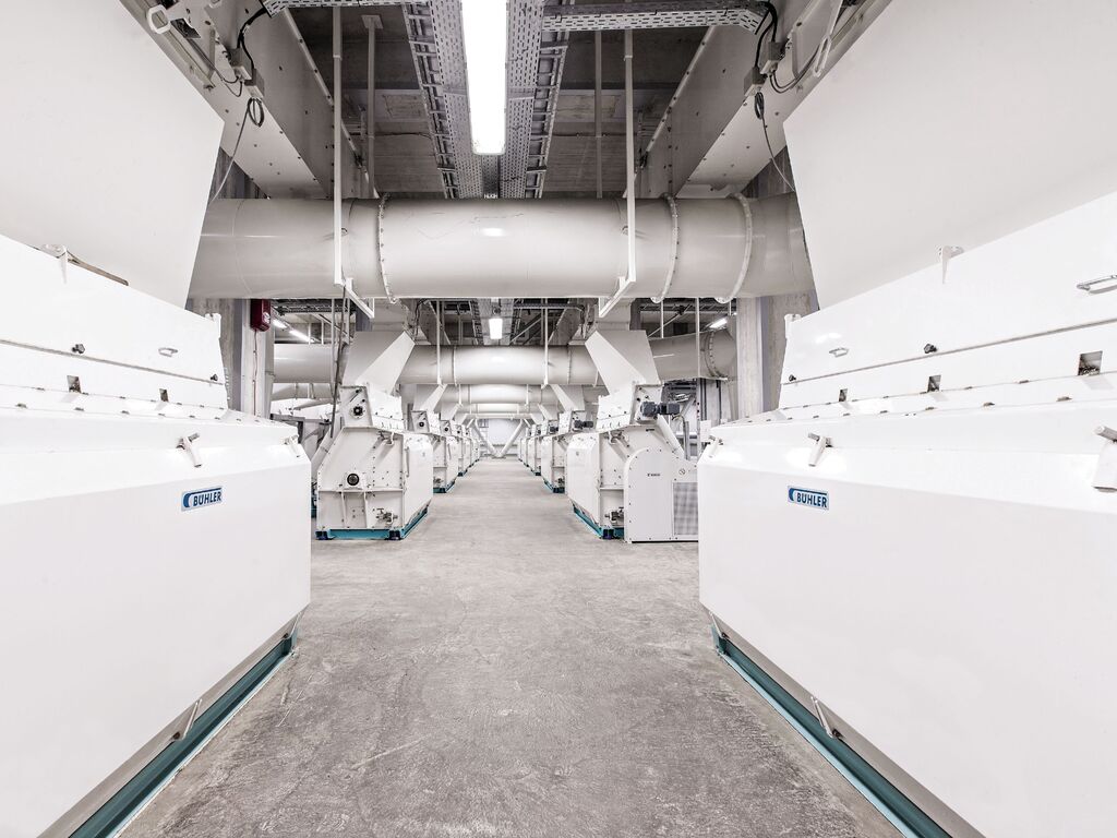 Oilseed Processing | Oilseed Preparation | Bühler Group