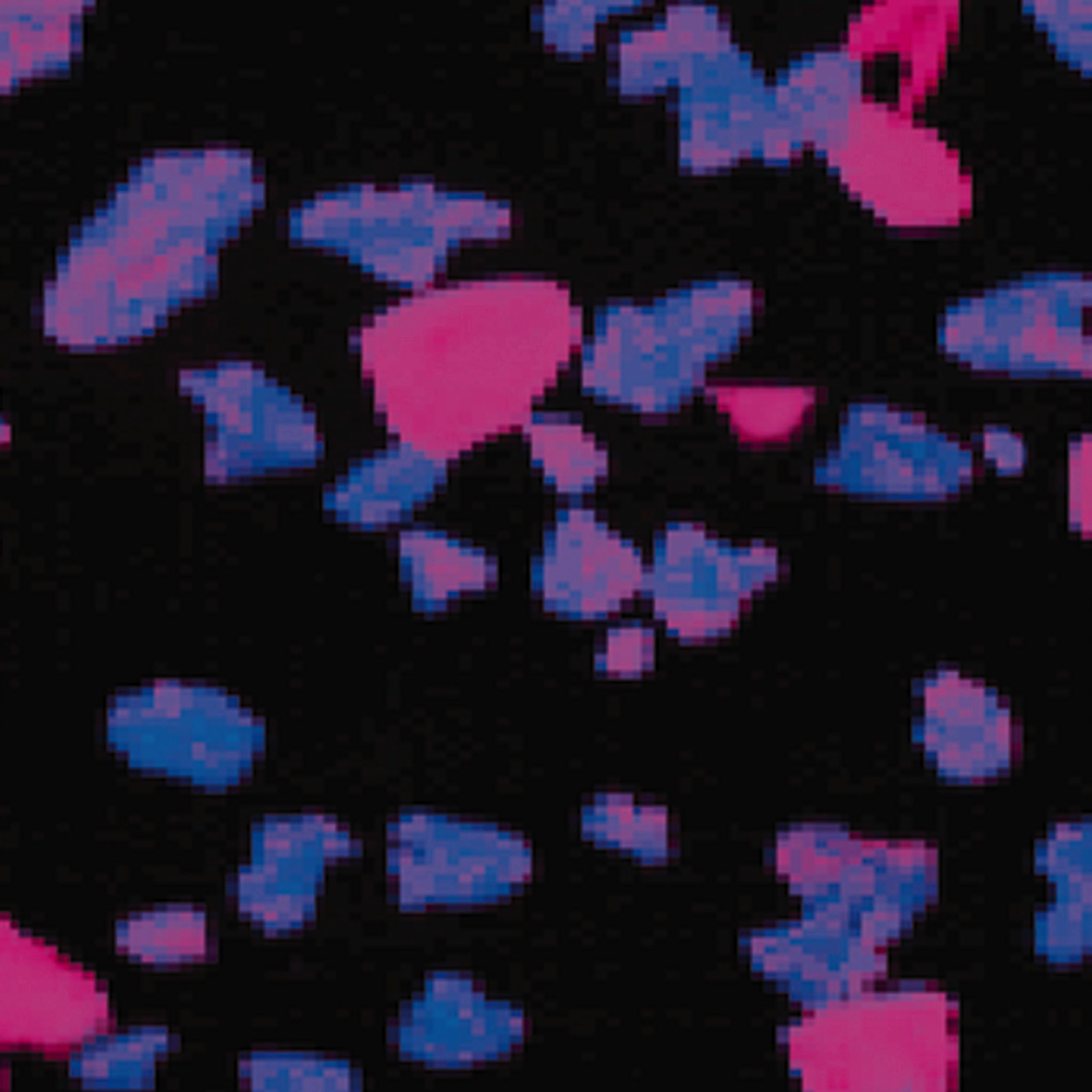 SORTEX A range | Optical sorter for Grain, Food & Plastic | Bühler Group