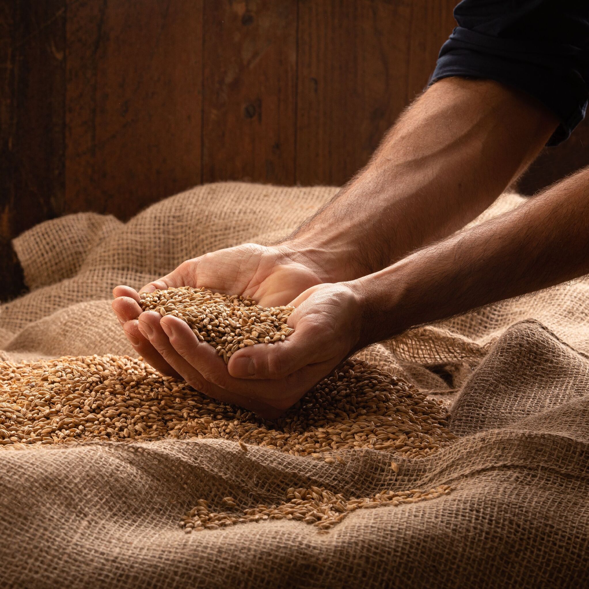 Discover the benefits of self-producing malt for your business!