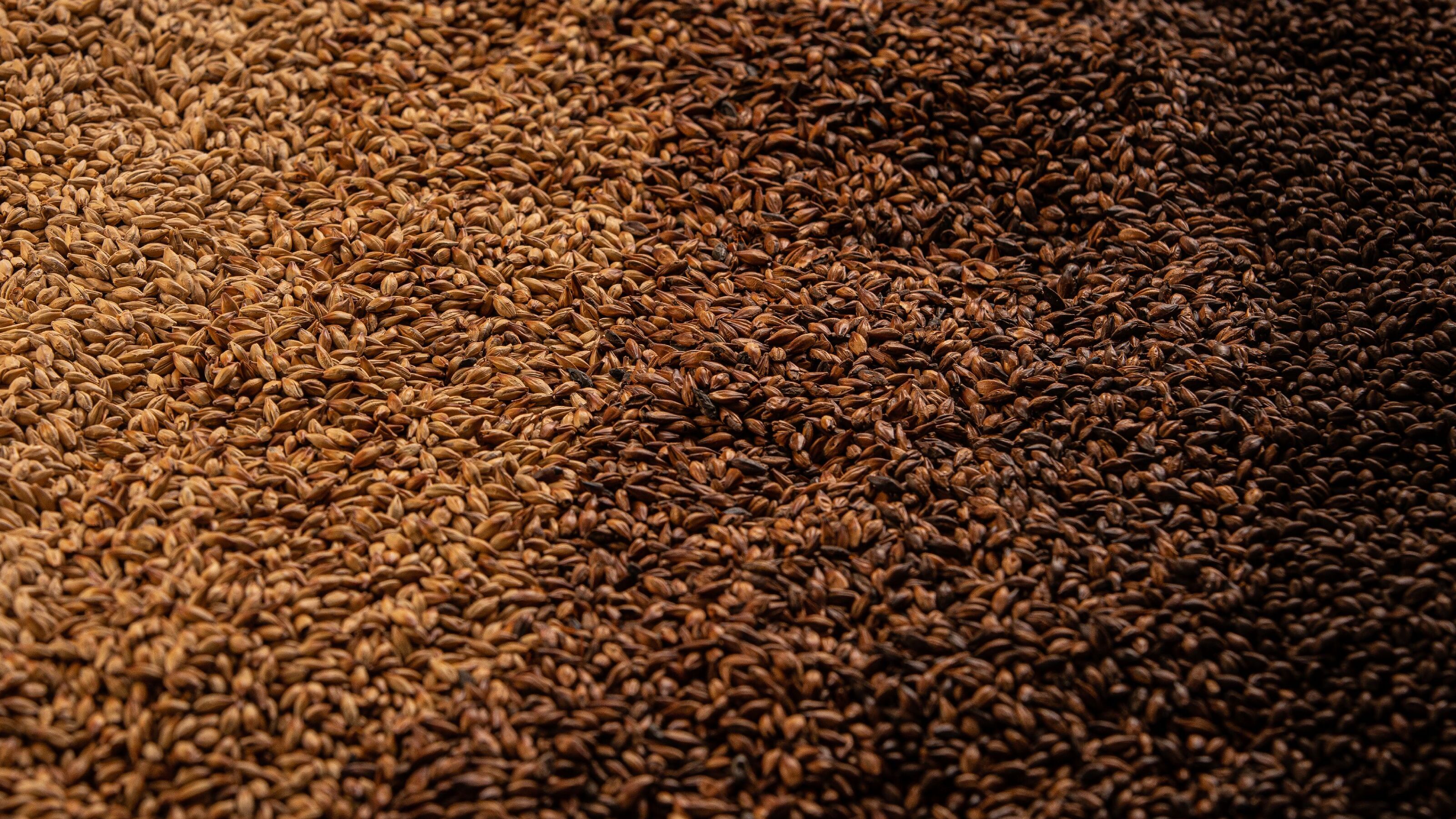 Discover the benefits of self-producing malt for your business!