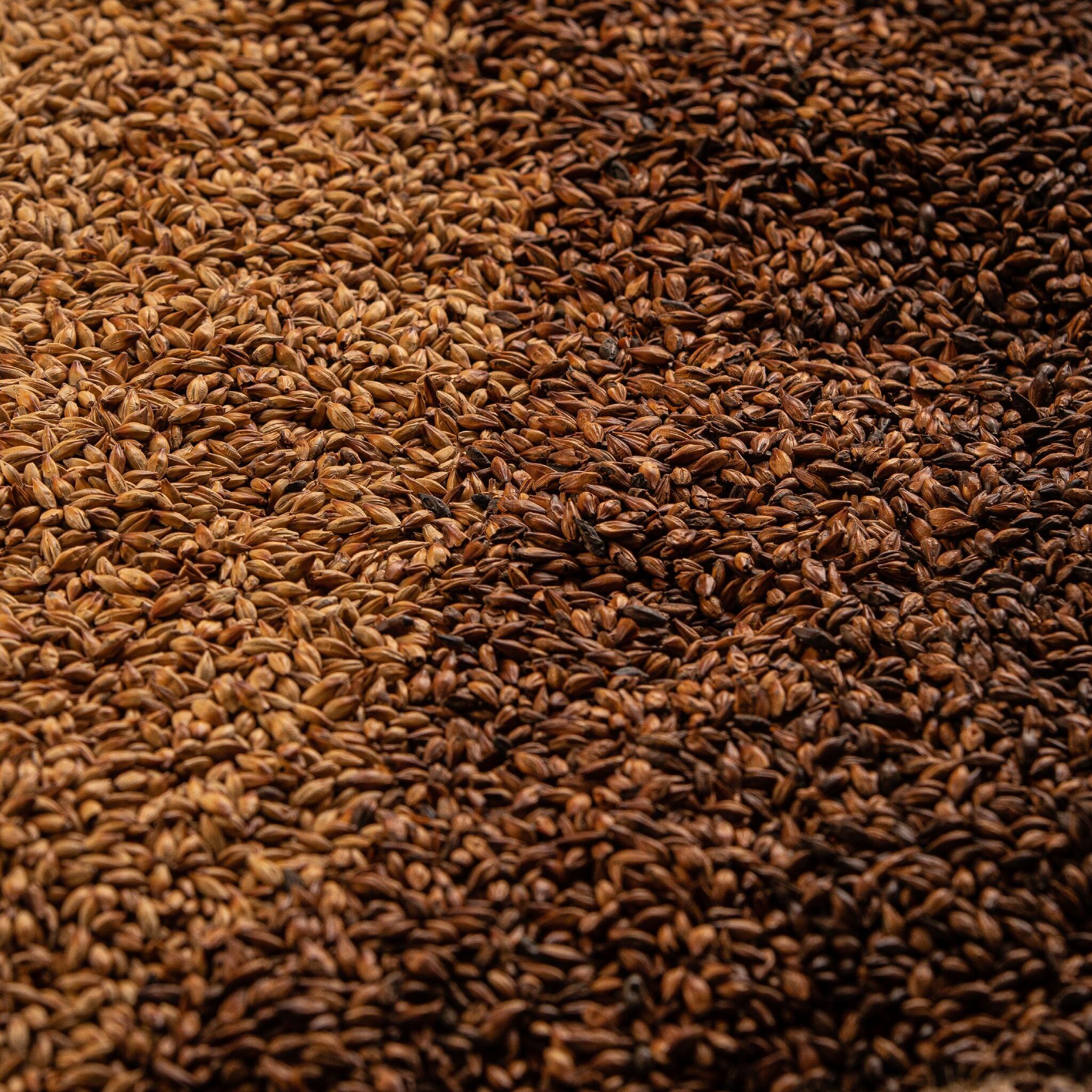 Discover the benefits of self-producing malt for your business!