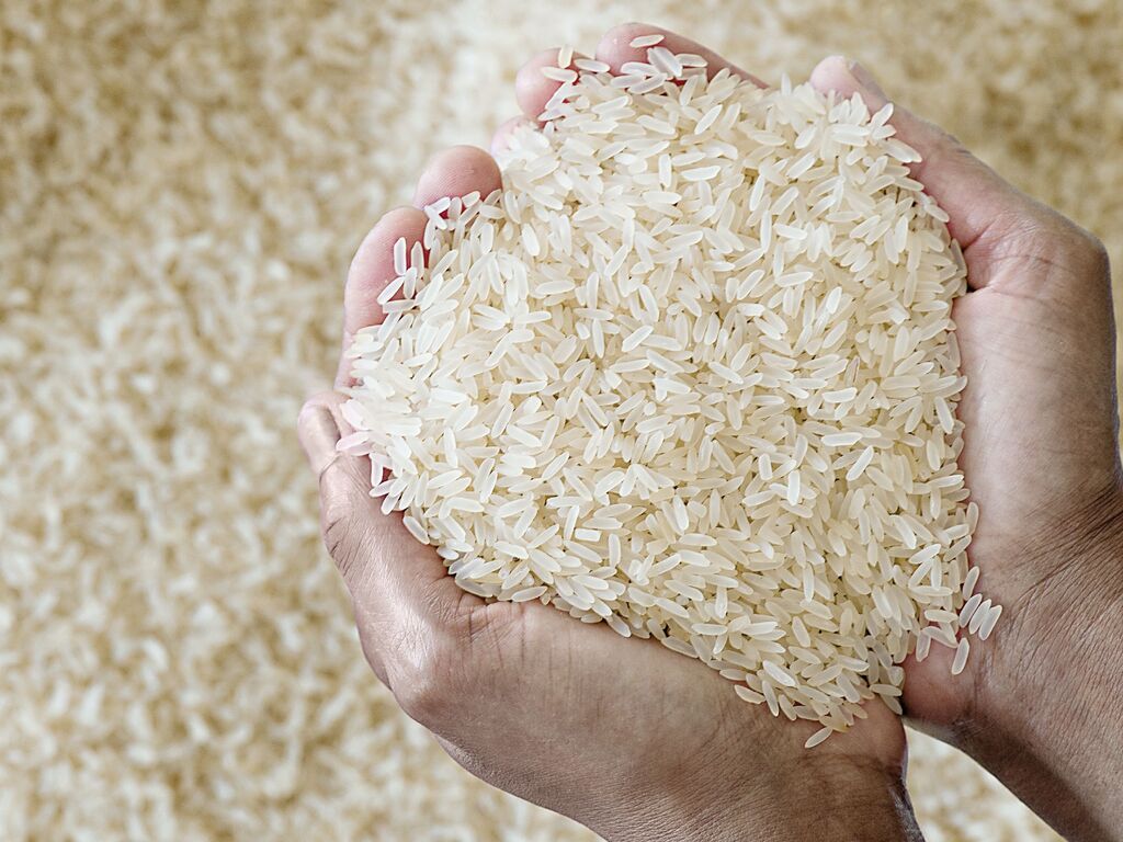 Paddy to Rice Processing