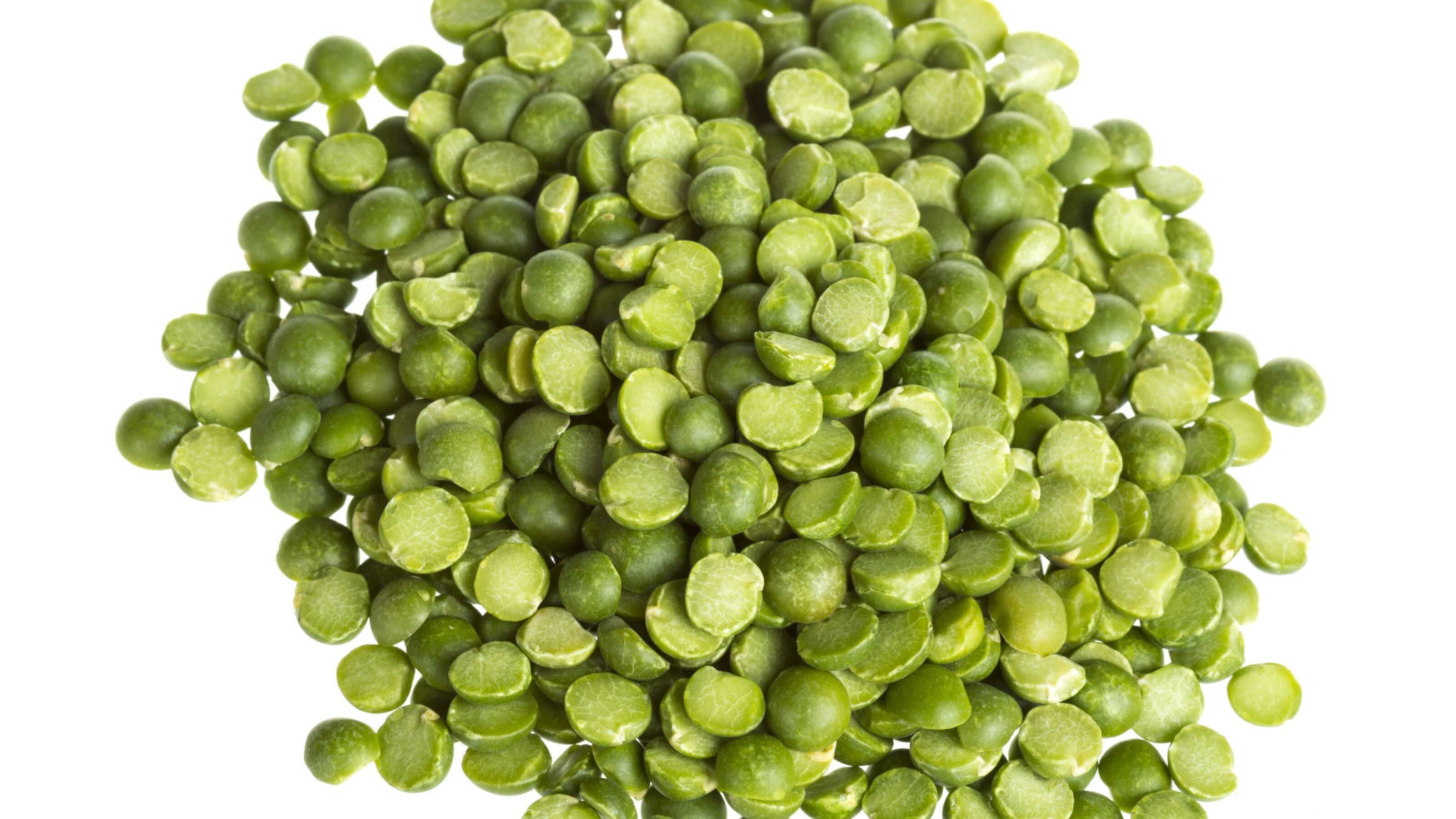 Procesado de leguminosas | Garbanzos | Guisantes secos (arvejas secas ...