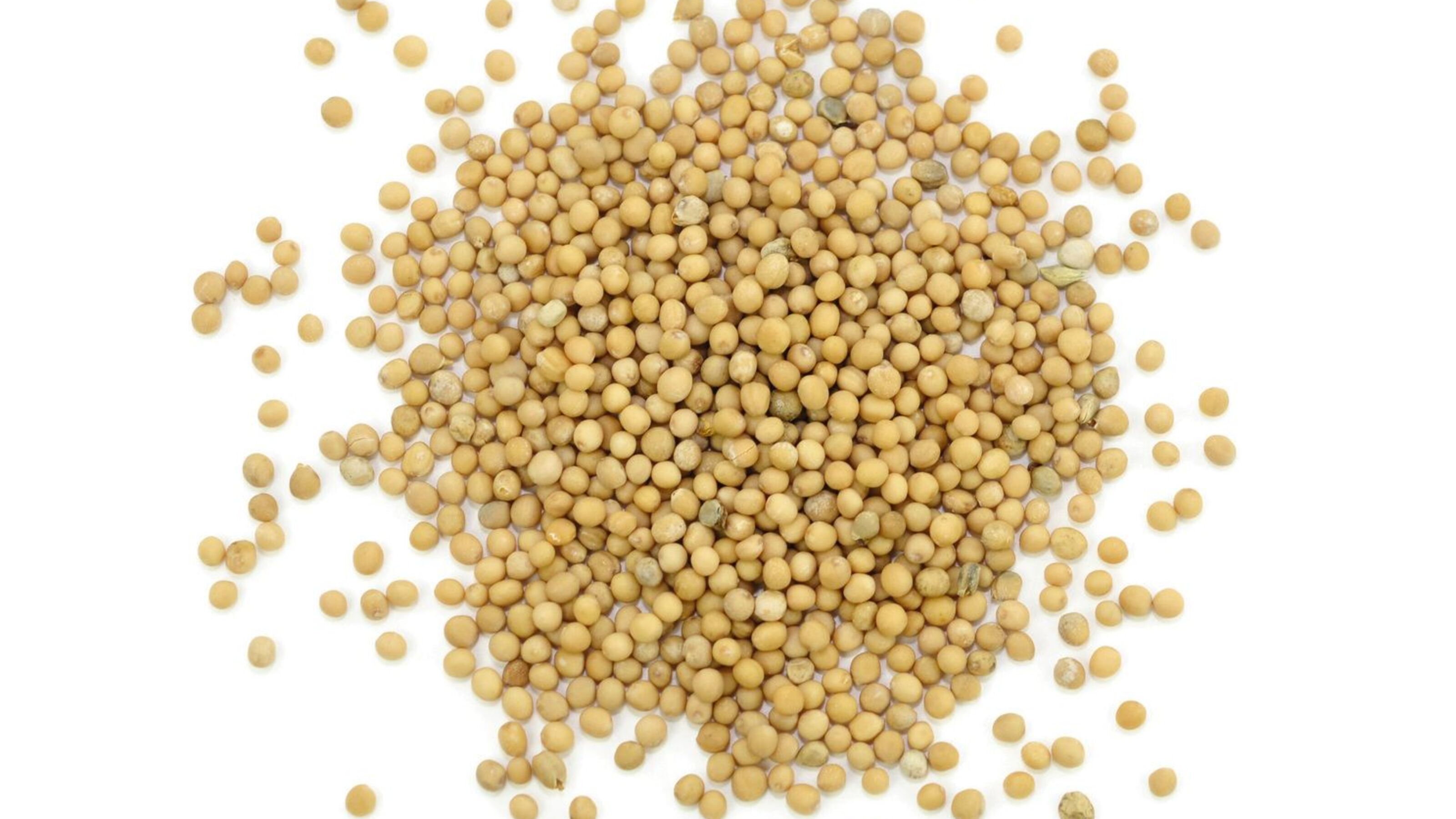 Dehulling Processes | Bühler Group