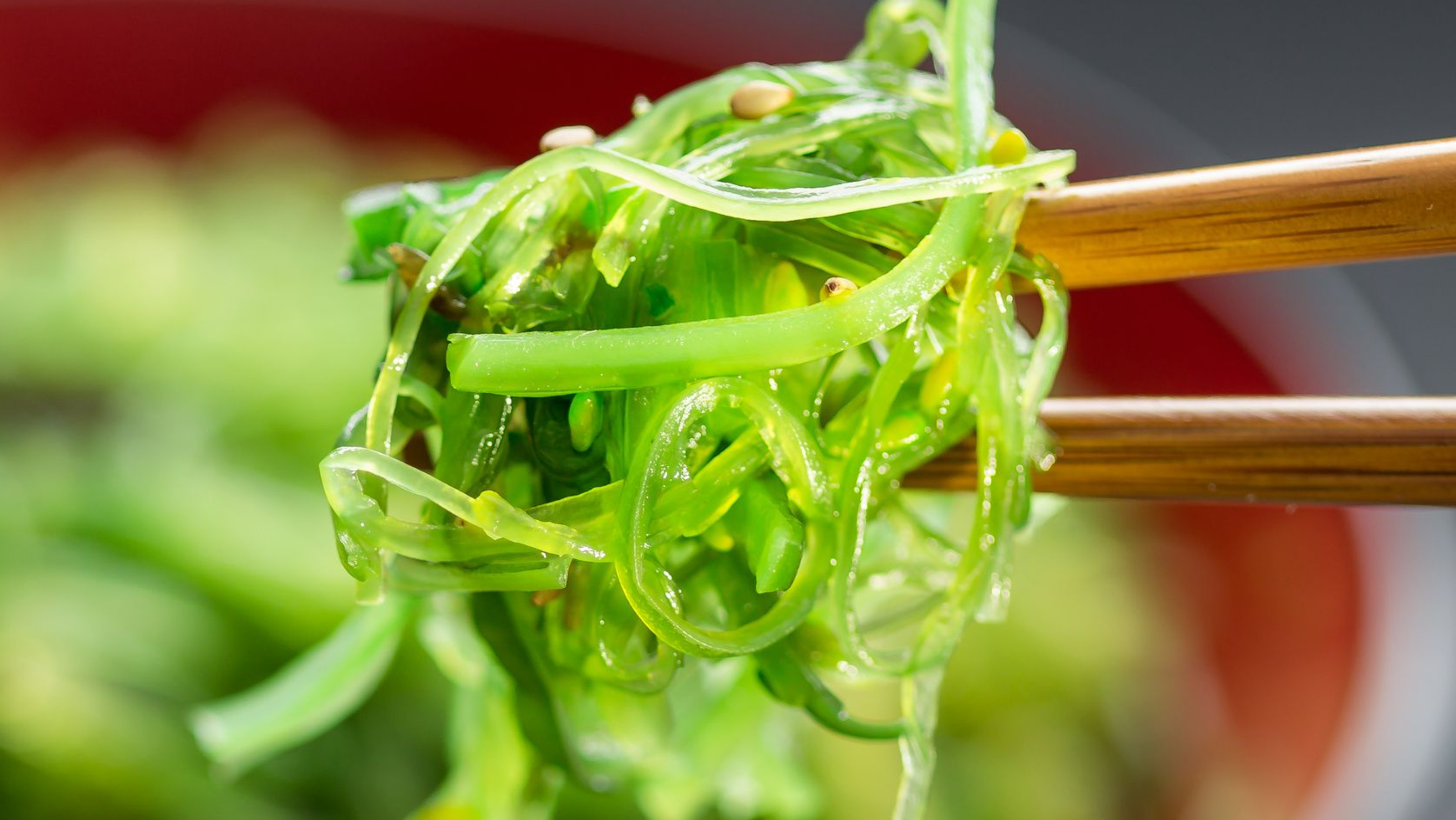 Alternative Proteins | Bühler Group