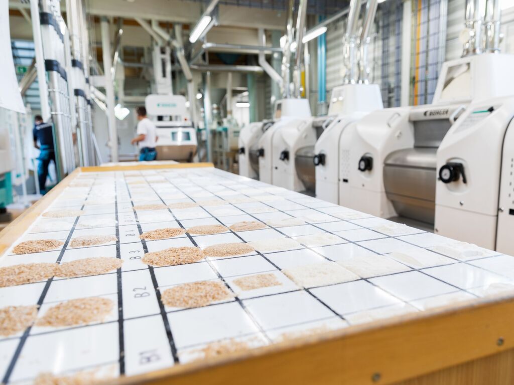 Meunerie du blé pour chefs meuniers | Formation en meunerie | Groupe Bühler