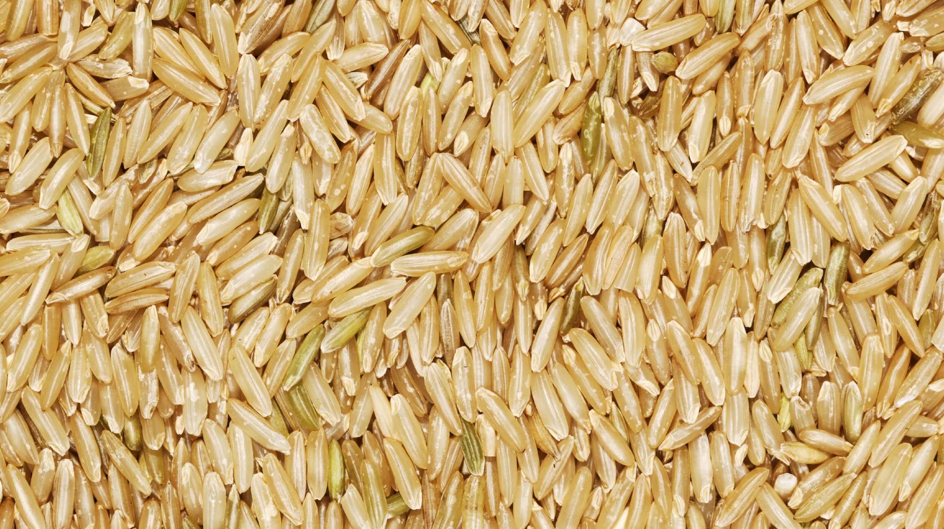 Rice Sorting | Cleaner and Safer Rice | Bühler Group