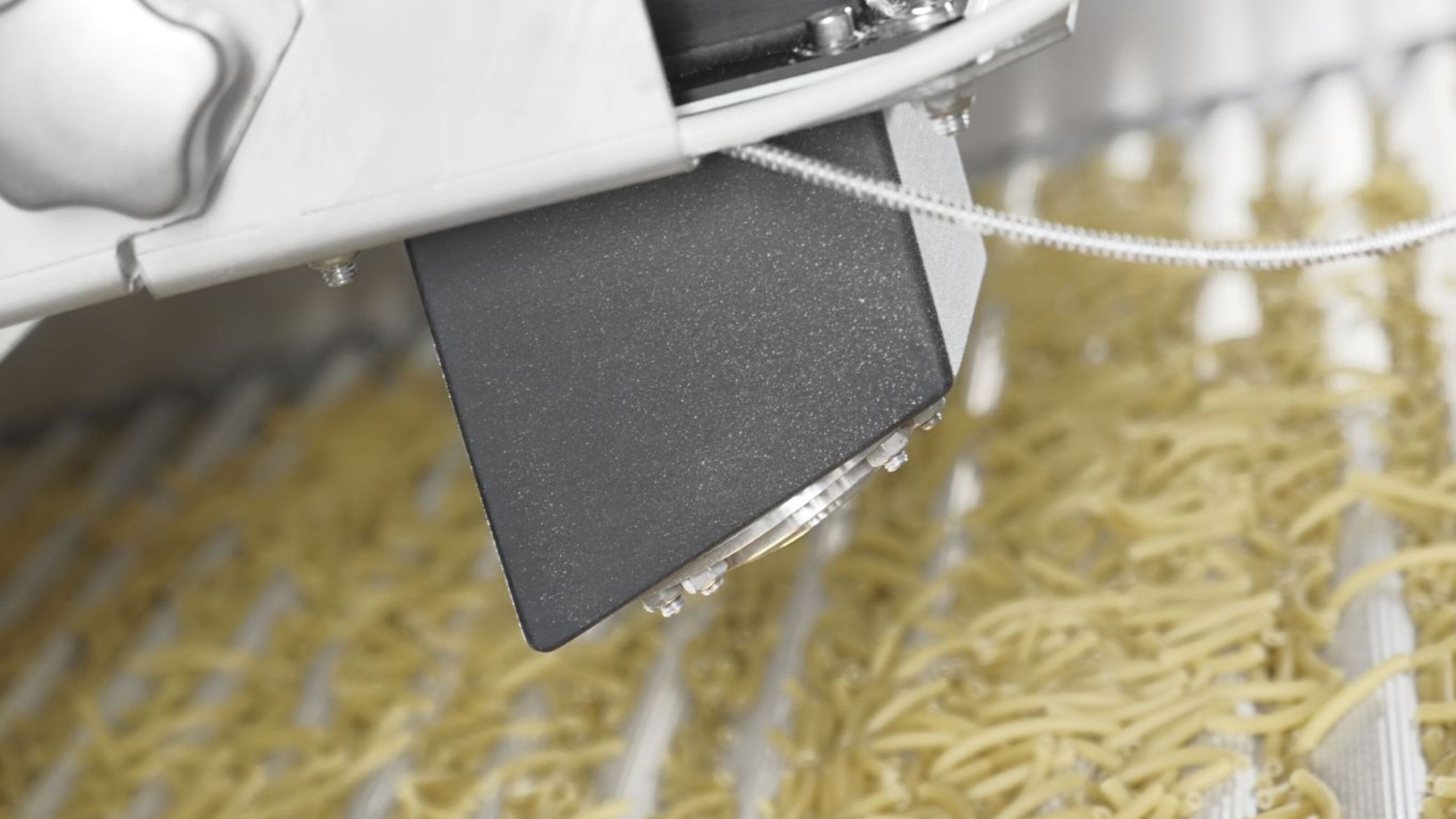 From flour to long-goods pasta