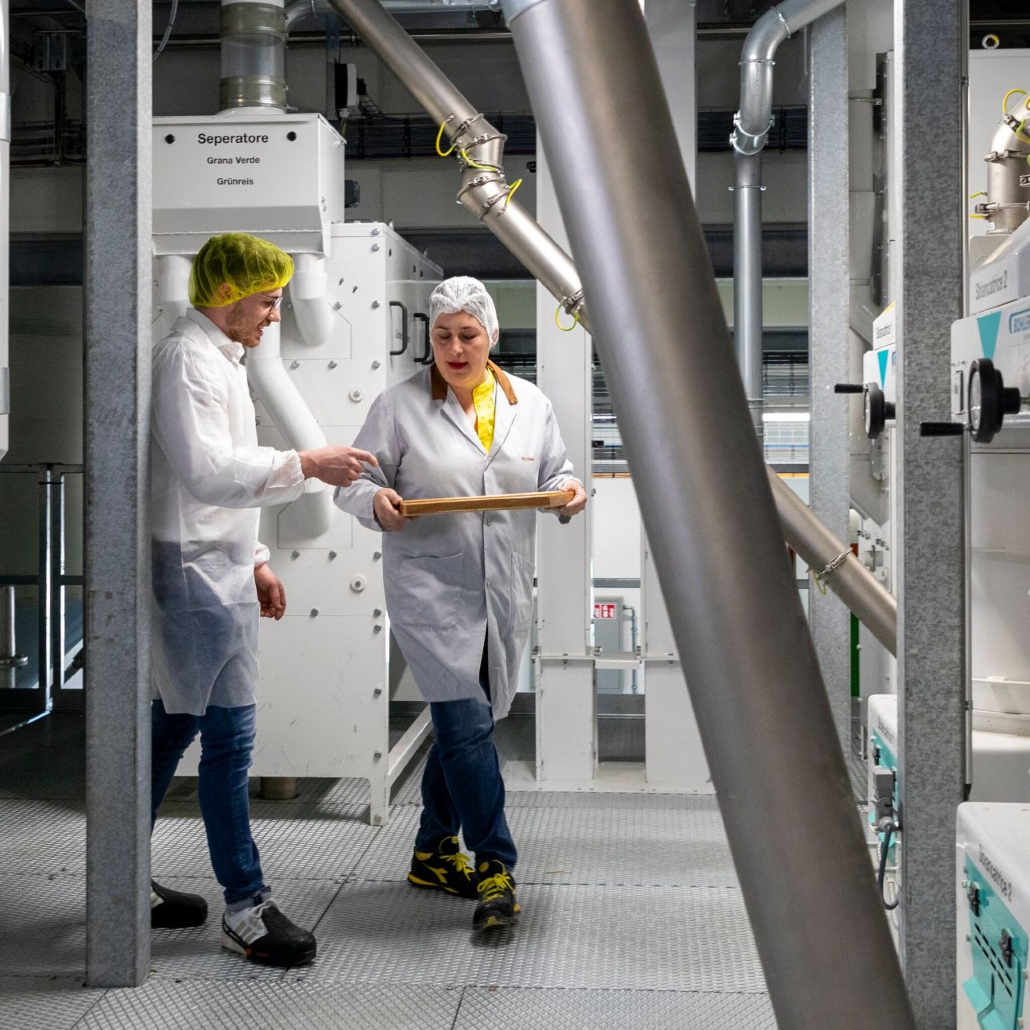 Forging a new future for rice processing | Inspiration Hub | Bühler Group