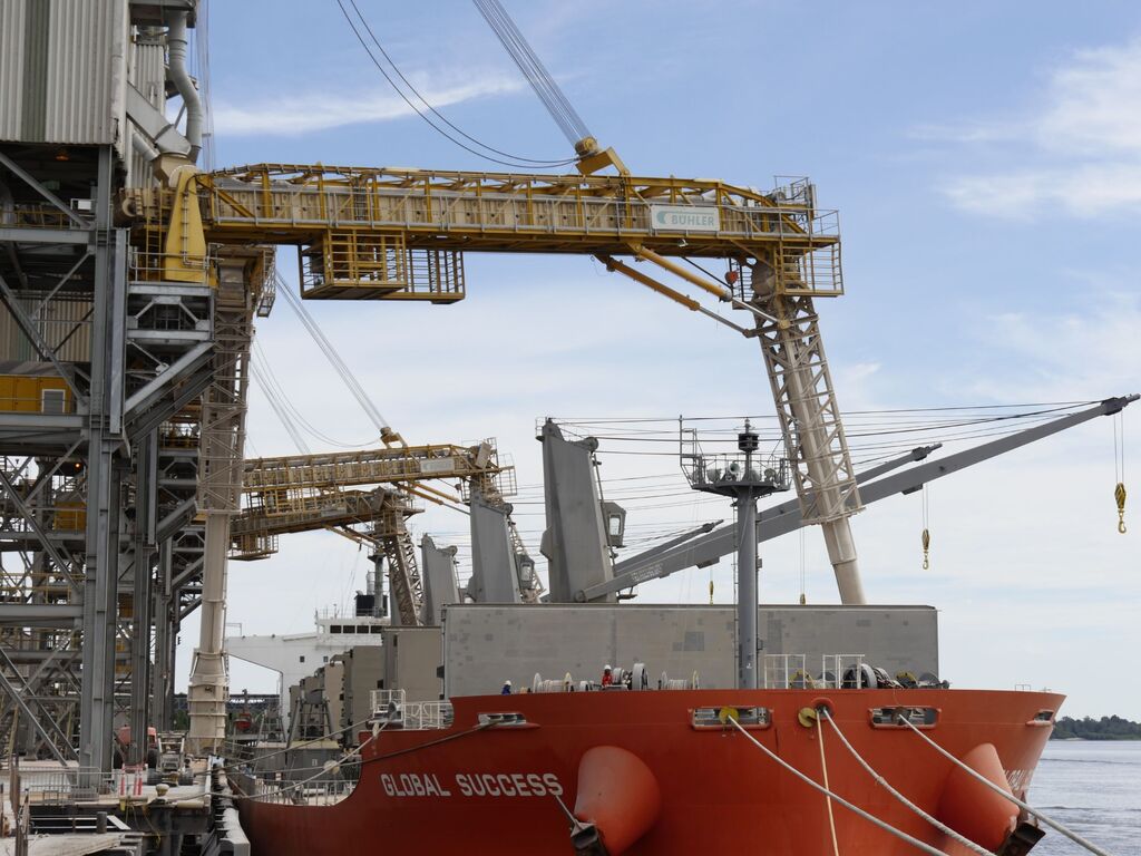 Inspection Stationary Ship Loader | Plant Maintenance | Bühler Group