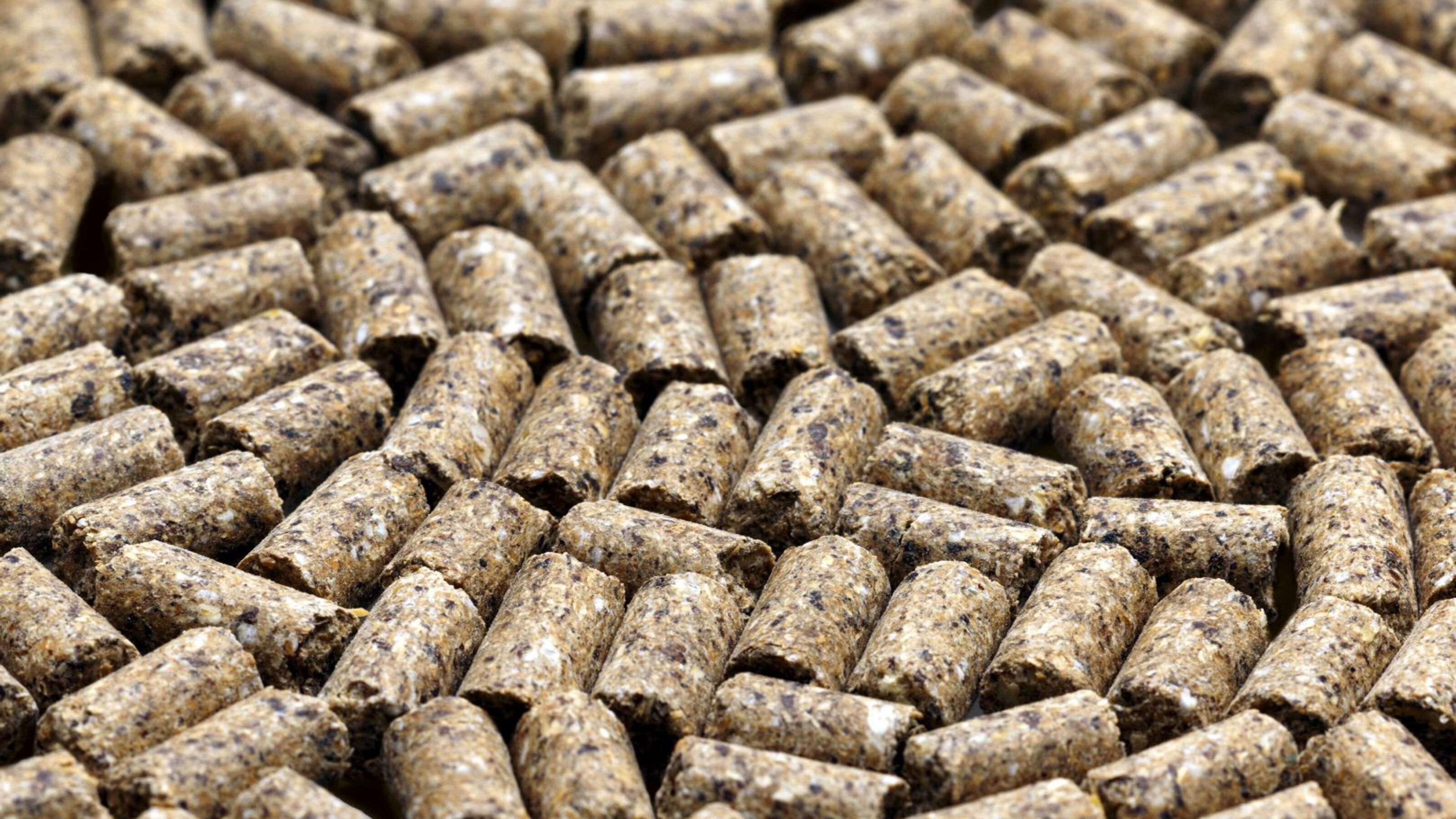 Peletizadoras | Máquinas de peletizado | Bühler Group