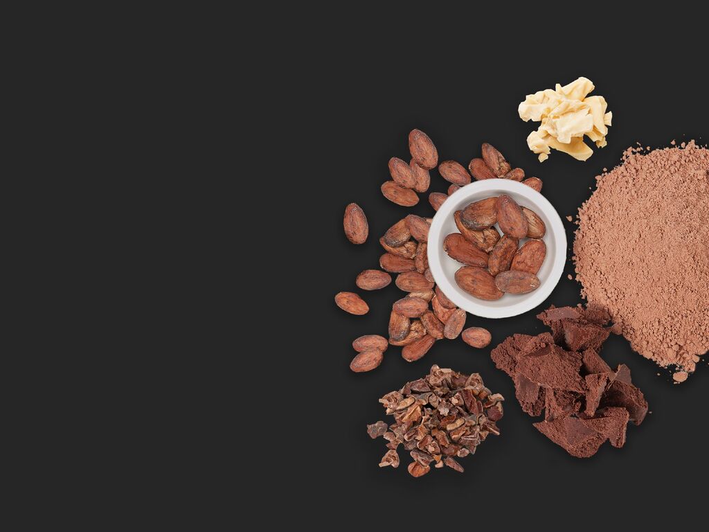 Cocoa Processing | Bühler Group