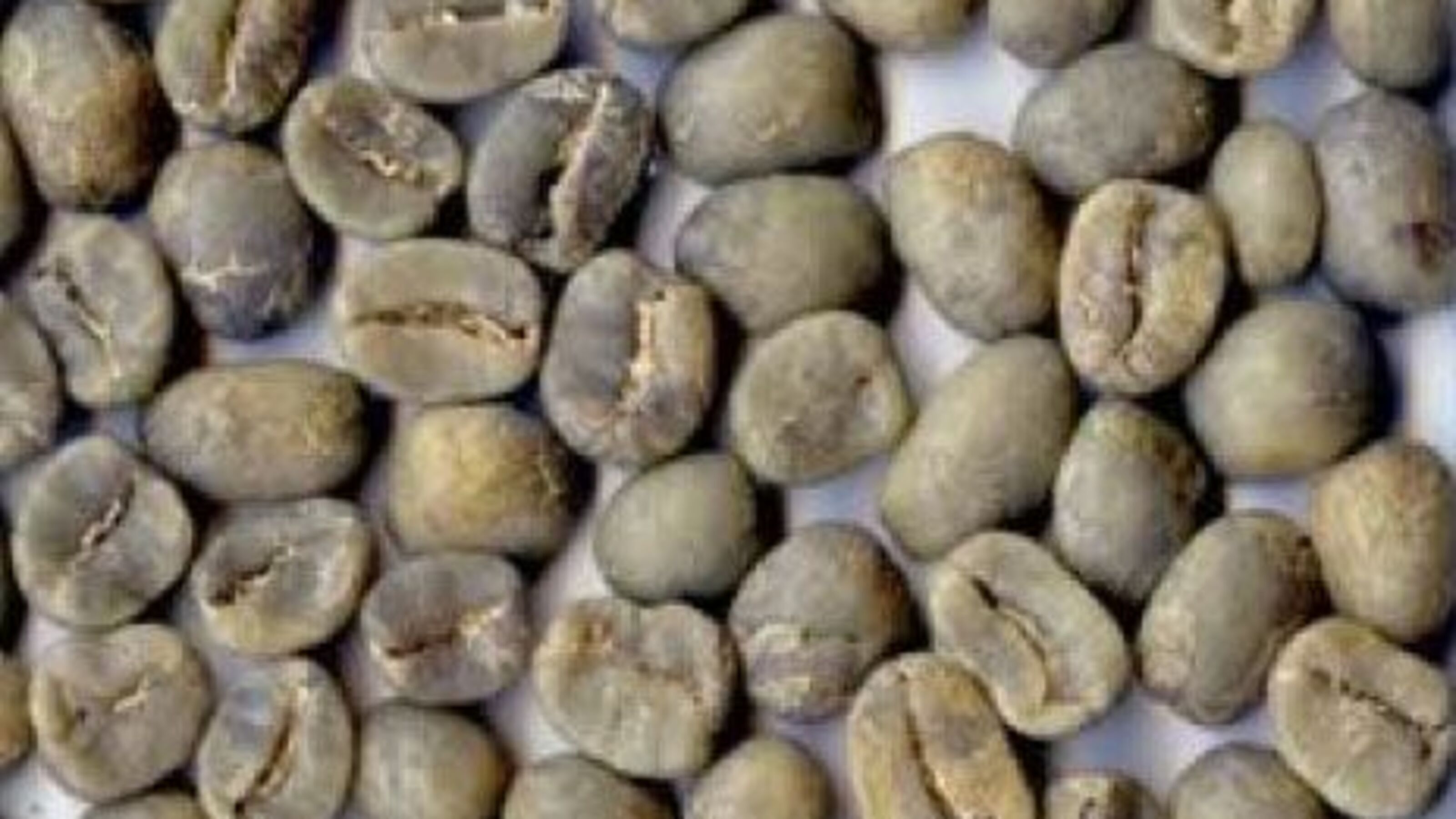 Coffee Sorting | Arabic, Robusta and Green I Bühler Group