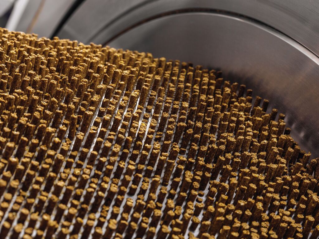 Pellet Mills | Pelleting Machines | Bühler Group