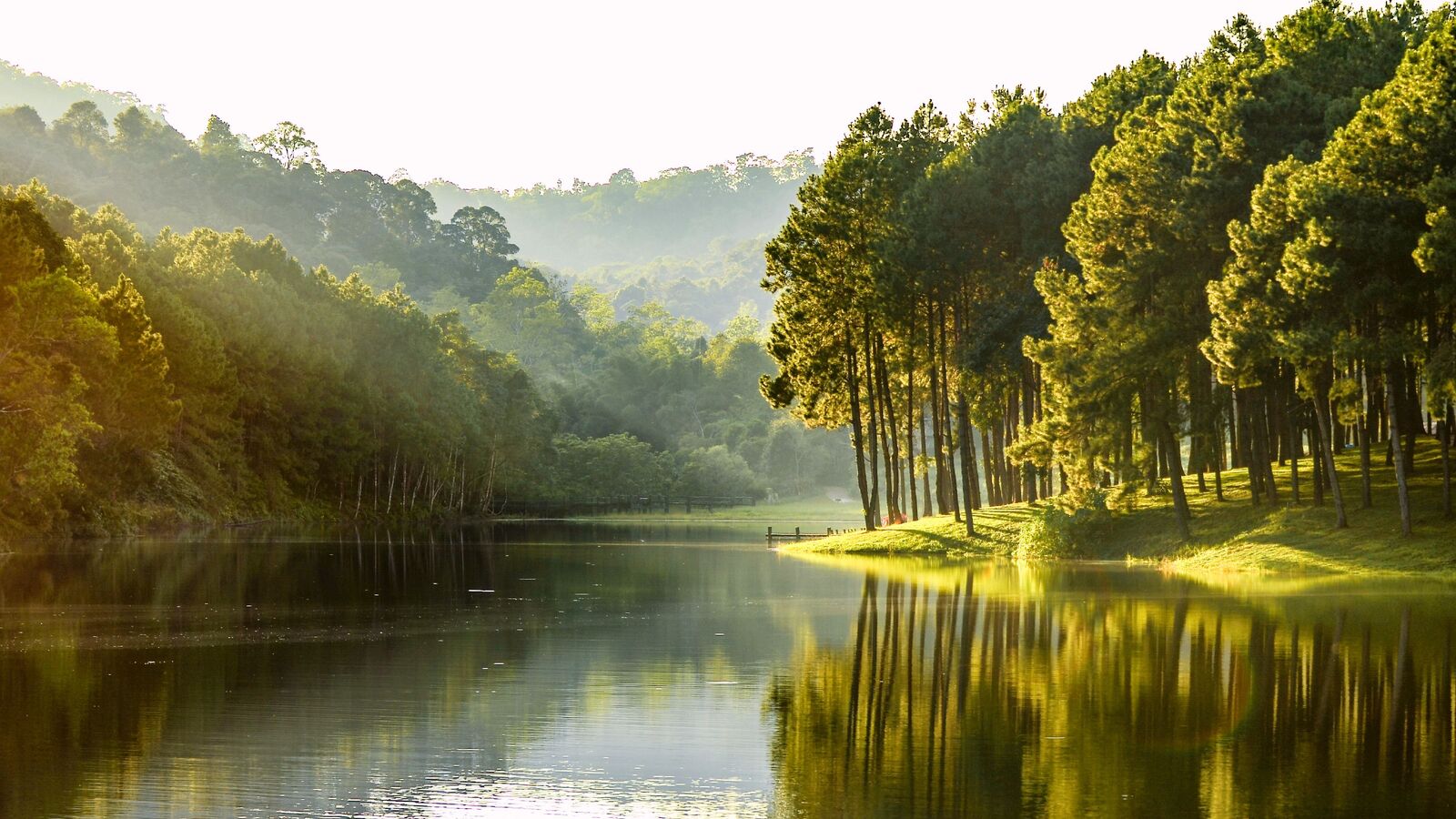 Connectivity for restoring forests | Inspiration Hub | Bühler Group